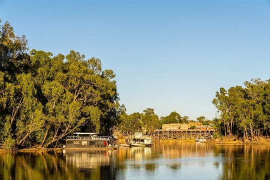Mathoura Picnic Point | Places to Go | Visit River Country